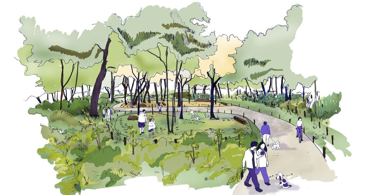 Cure de jouvence pour la coulée verte de la Chézine | Nantes, ville et ...