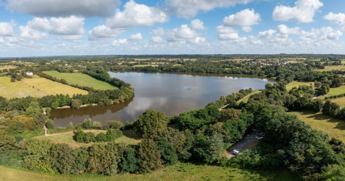 Les espaces naturels et agricoles de Loire-Chézine bientôt sous ...