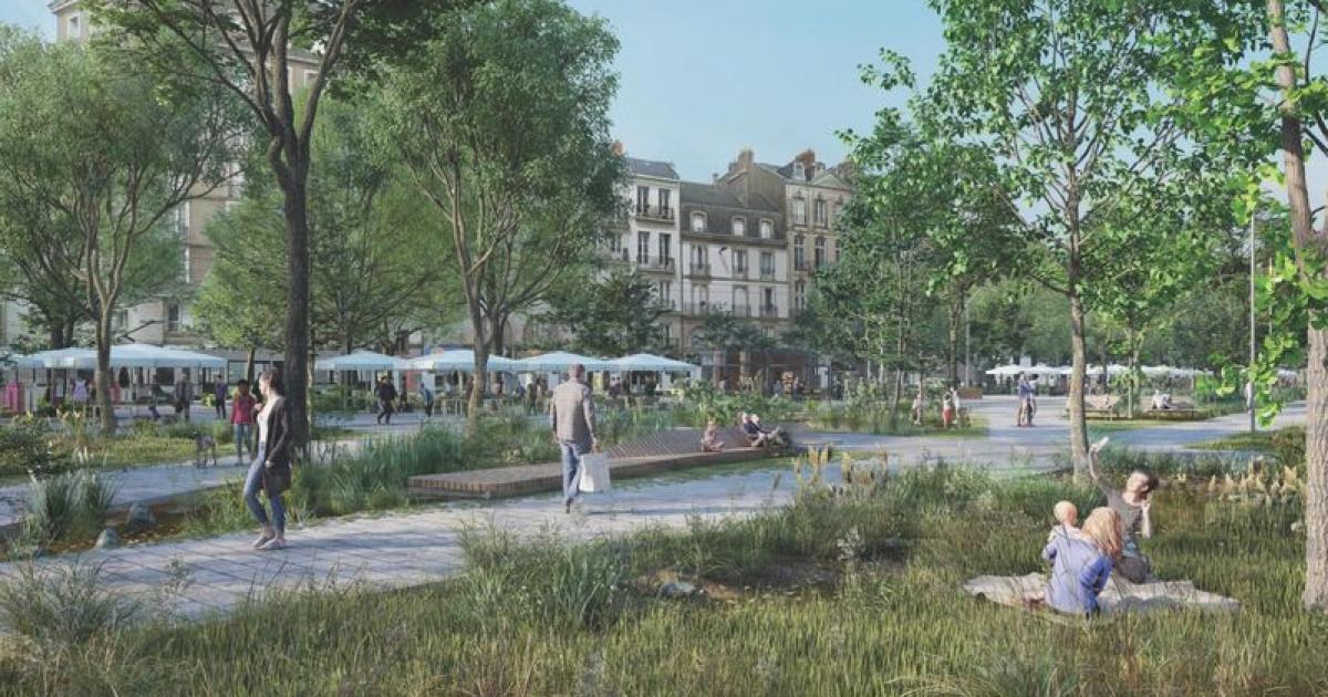 D s 2025 Les Premi res Plantations Sur La Place Gloriette Petite d-s-2025-les-premi-res-plantations-sur-la-place-gloriette-petite