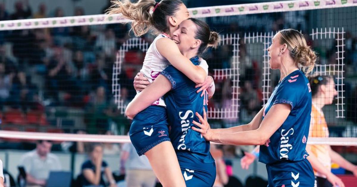 Volley : les Neptunes entendent « repousser leurs limites » face à ...